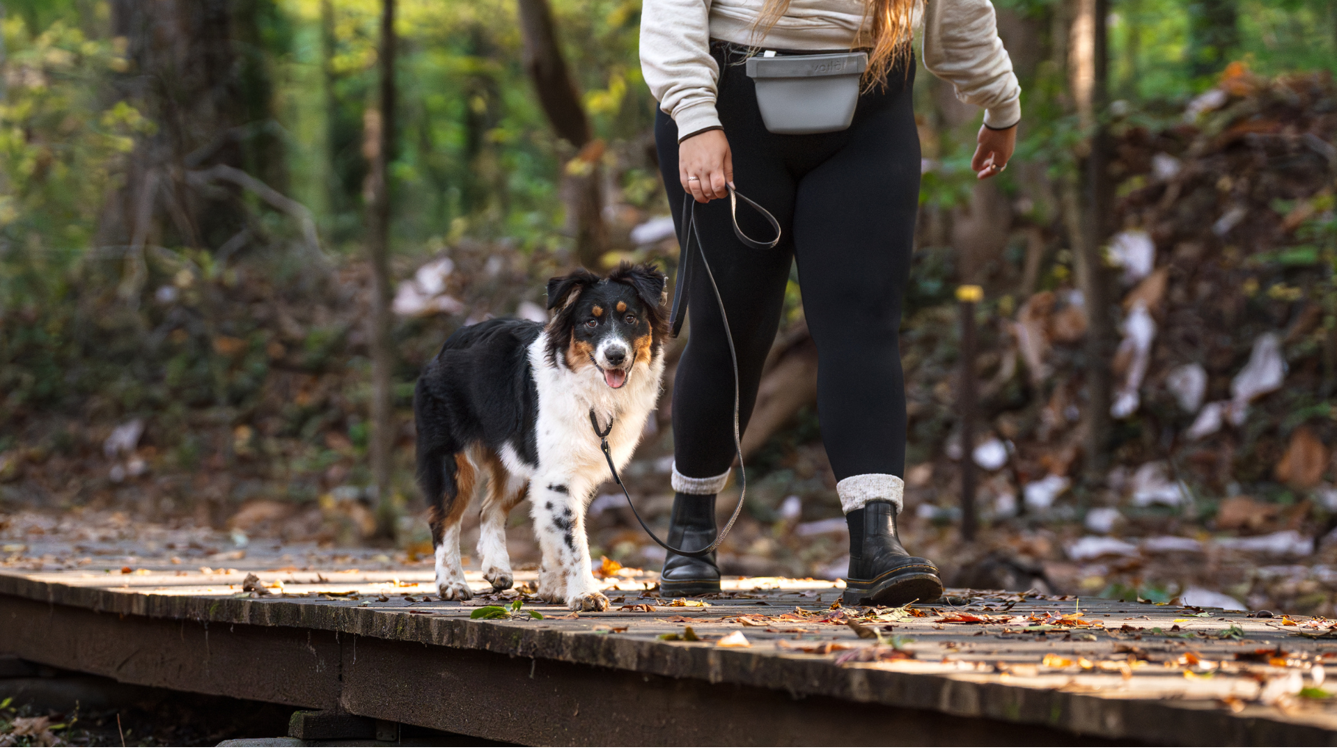 Top 5 Reasons a BioThane Dog Leash Beats the Rest